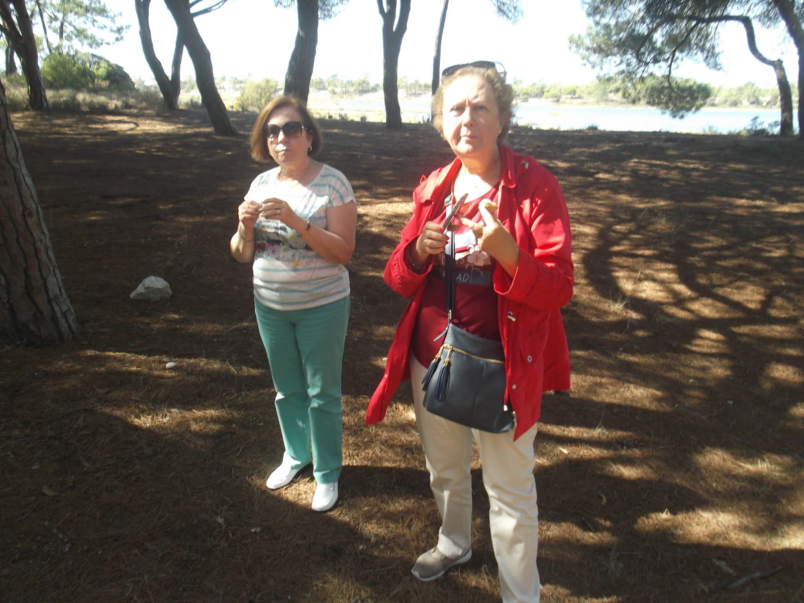 Chá de Limonete: 2019