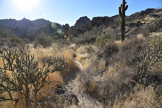 Arizona Hiking: Lower First Water Creek