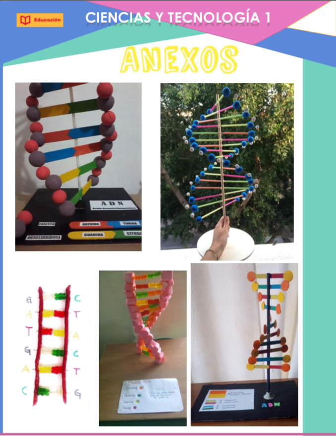 El Aprendizaje Esperado, la pauta para la creación de actividades: Actividad ''Cromosomas, genes ...