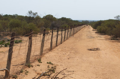 A Wandering Naturalist: Australia: Rabbit-Proof Fence