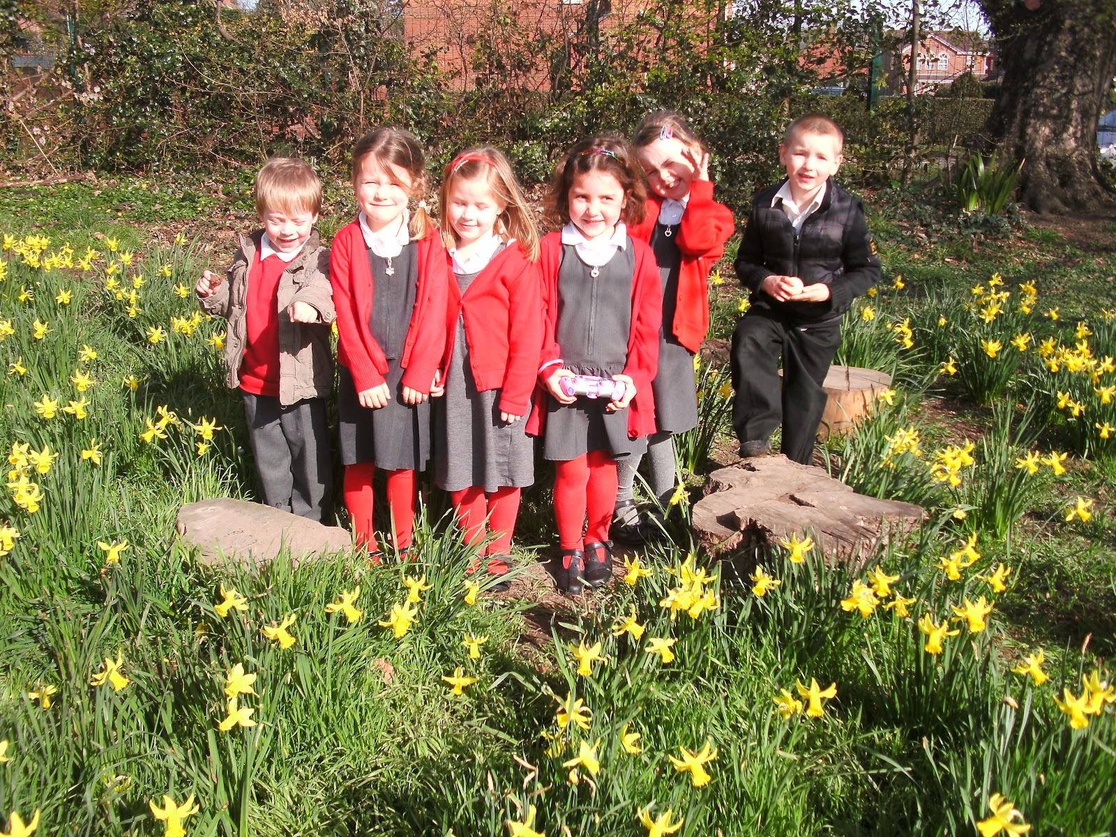 Willow Reception Class Greenfields: Spring Walk
