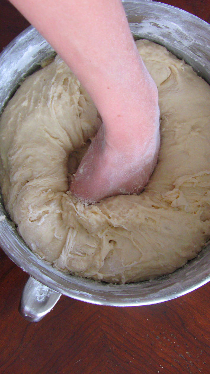 Cynthia Sue: Cinna Knots