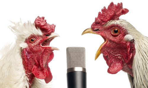 Dig Deeper: Creation Moment 5/9/2021 - Bird Syrinx