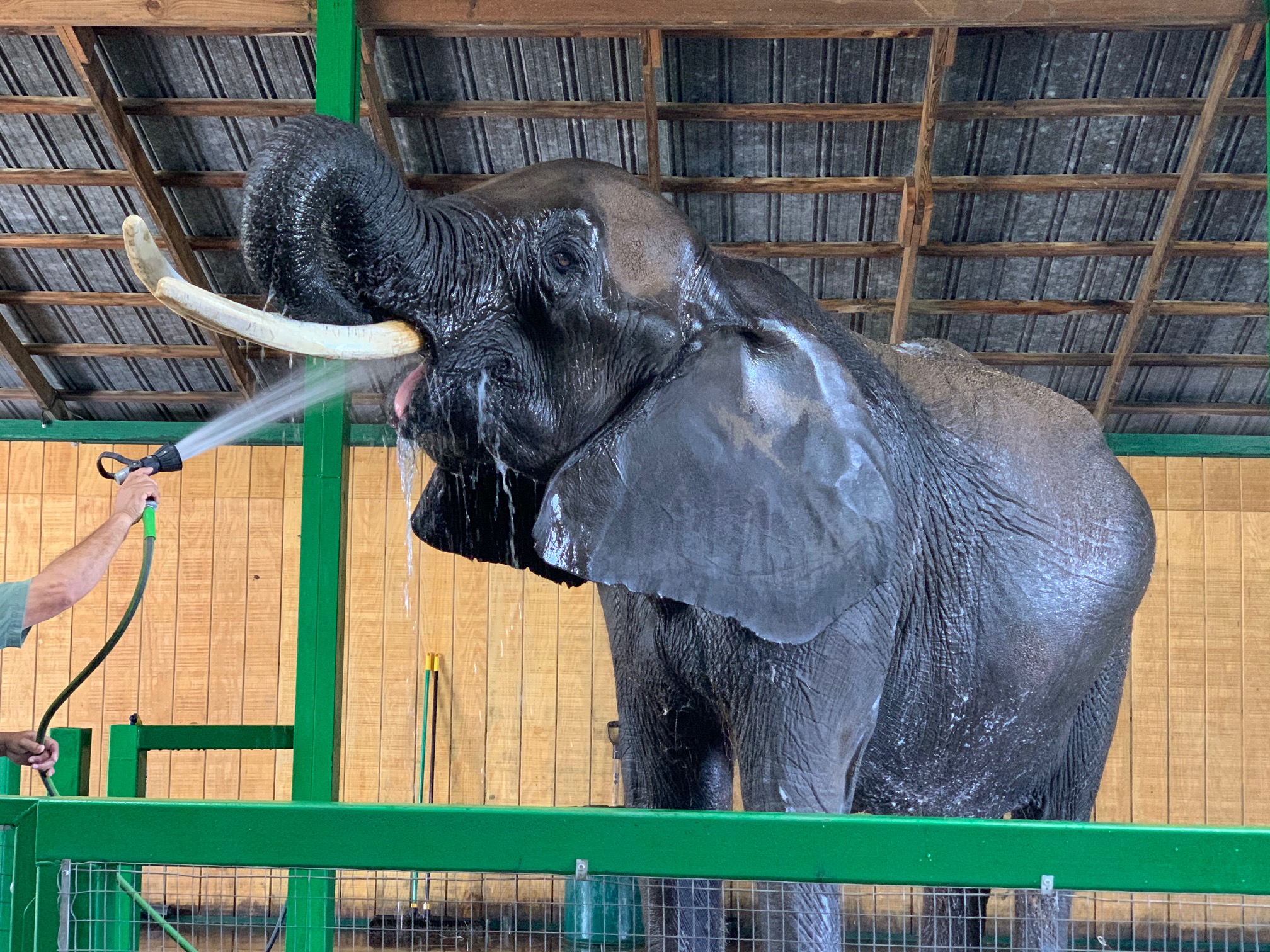 Nanette's New Life - Changes in Latitudes, Changes in Attitudes ...