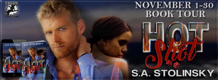 The Book Junkie's Reads . . .: SPOTLIGHT - Hot Shot by S.A. Stolinsky