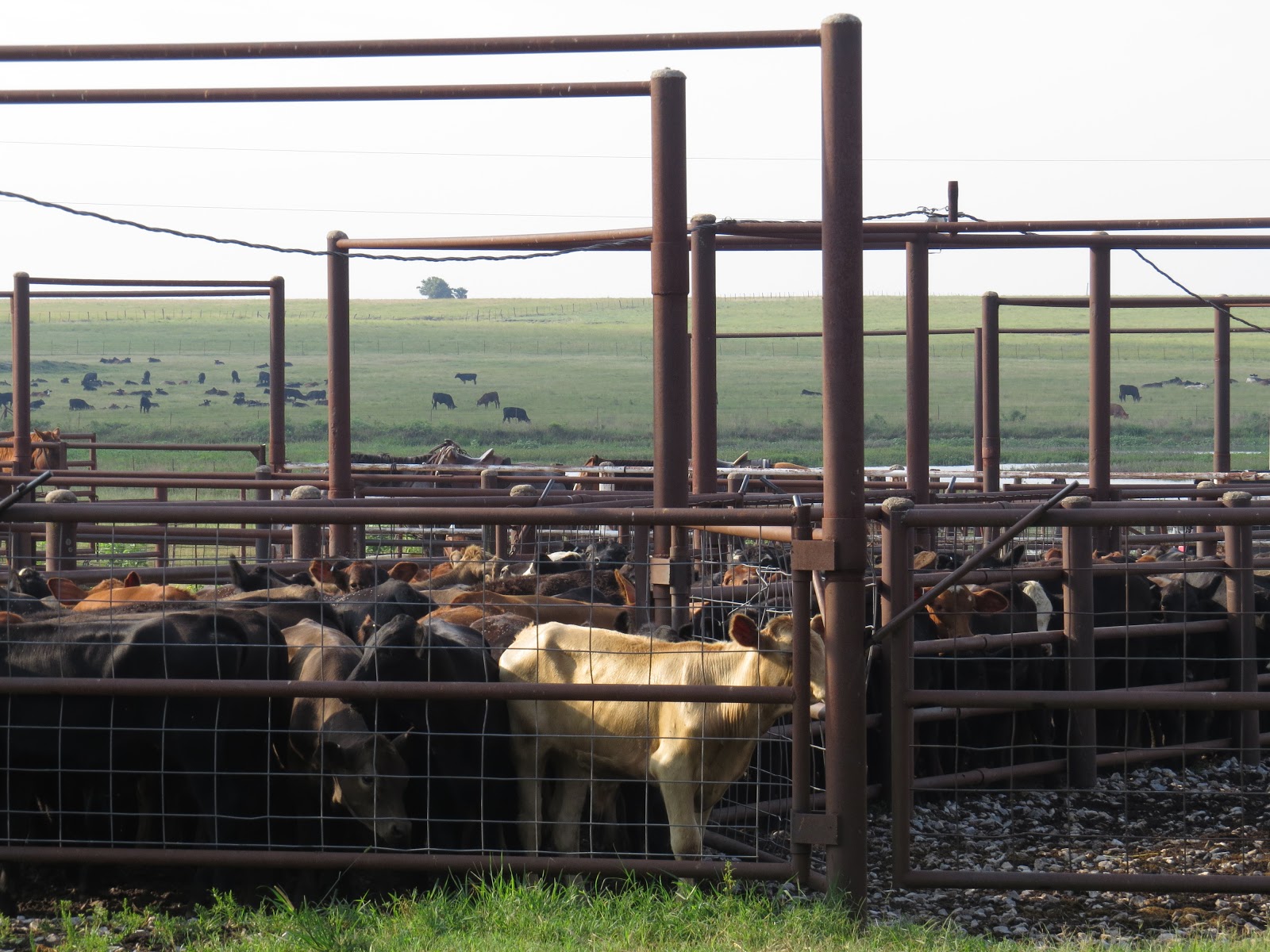 Sooner Ranch Mission: Touring the Ranch Foraker Unit