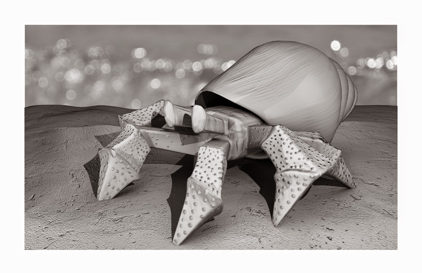 Maryse Verrette: Insecte - Bernard l'hermite