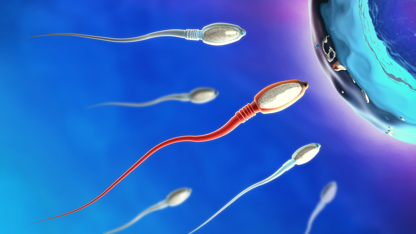 How to keep your sperm healthy?