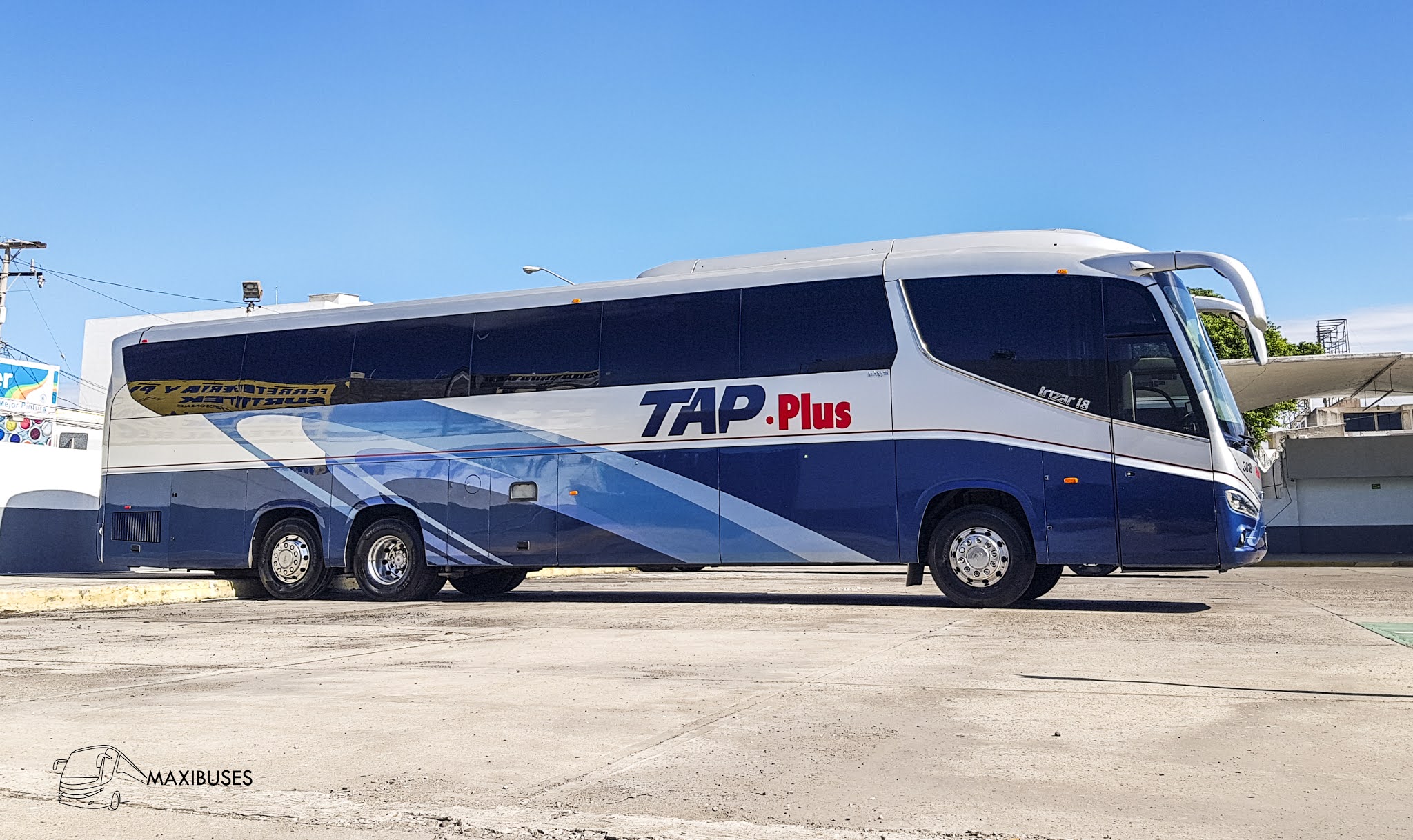 MAXIBUSES: TRANSPORTES Y AUTOBUSES DEL PACÍFICO, PLUS (TAP)