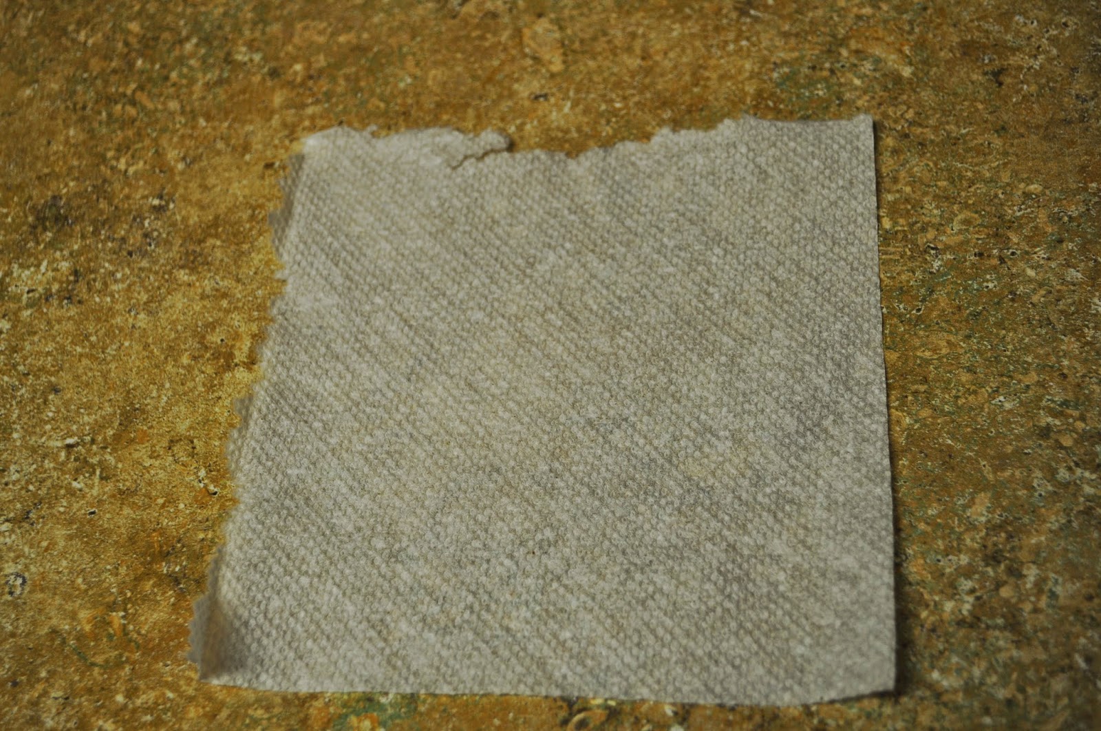 Healthy Momma Talk: Bag Burst Science Experiment