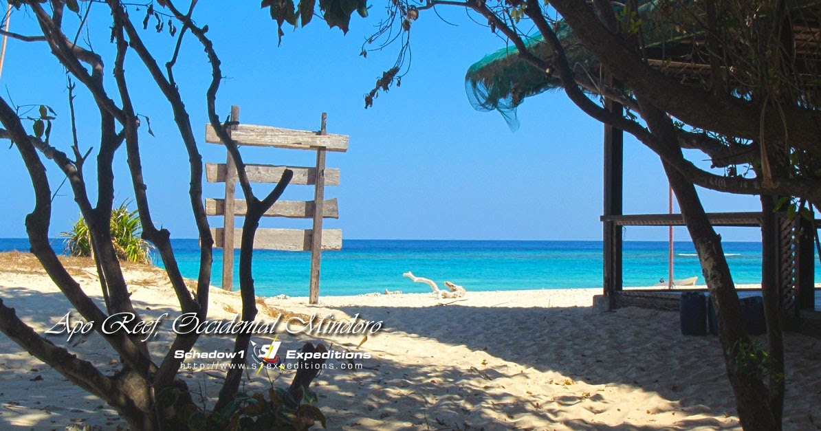 Apo Reef Travel Guide : Schadow1 Expeditions | A travel and mapping ...