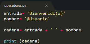 Concatenación en Python