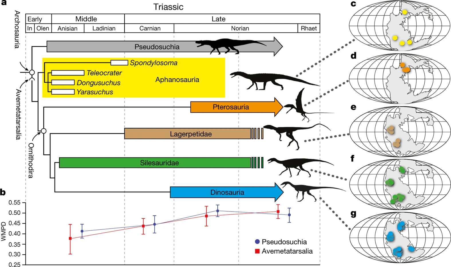 Coelho pré-Cambriano: dezembro 2020