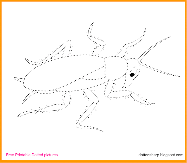 Free Dotted Printable for kids: Dotted Cockroach drawing