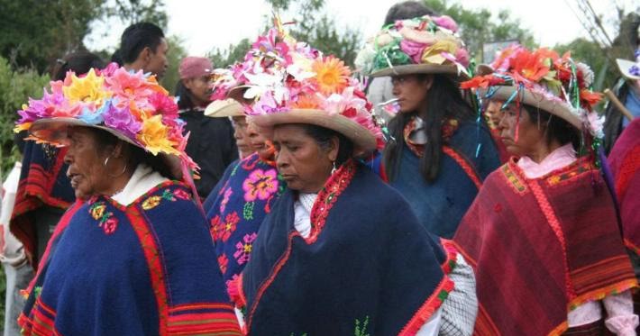 ETNIAS DE MICHOACAN: Etnia Mazahua