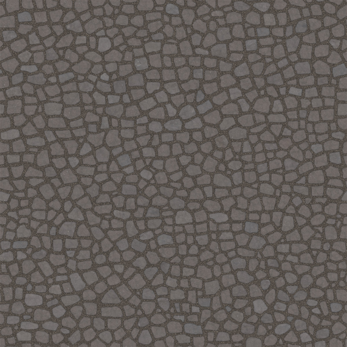 SWTEXTURE - free architectural textures: Seamless Irregular Paver ...