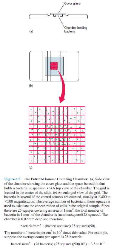 Microbiology Notes: Microbial Growth : Bacterial Growth Curve