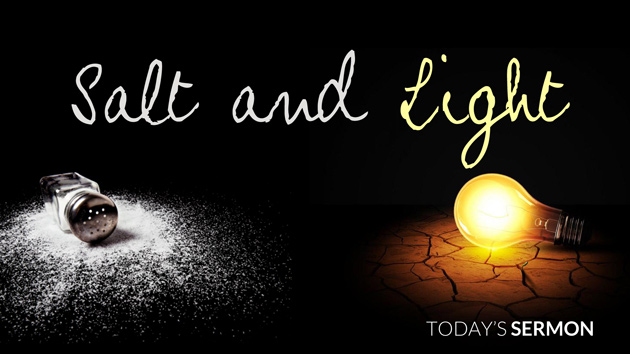 Breathing With Both Lungs: BECOMING SALT AND LIGHT FOR OTHERS: A Homily ...