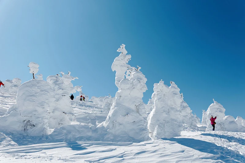 Snow Monsters of Mount Zao, Japan (with Map & Photos)
