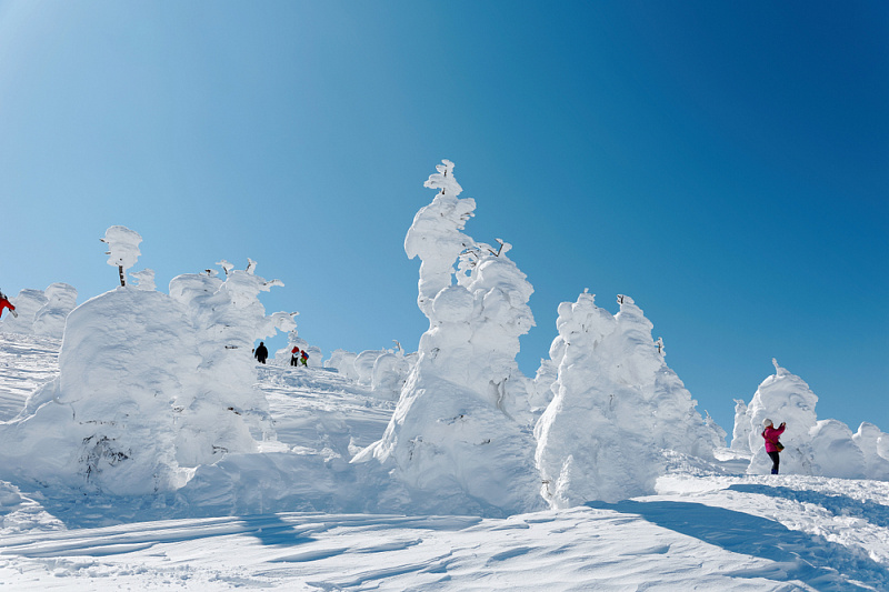 Snow Monsters of Mount Zao, Japan (with Map & Photos)