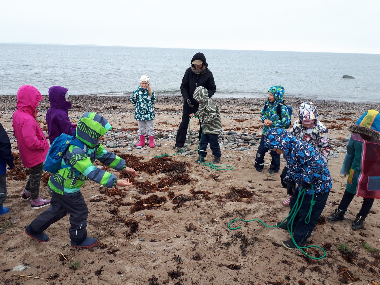 Roheline Kool Eestis Tallinna Tuule Lasteaed: Tuuletrolli merereis ...
