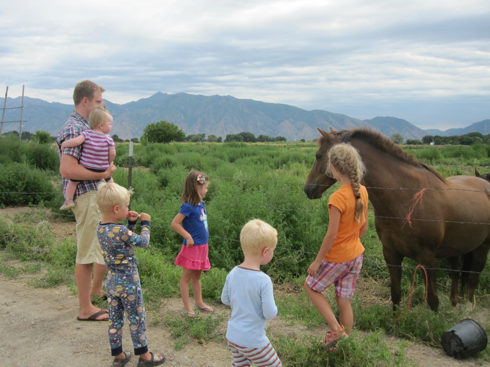 the hawkins family: Utah: Hawkins Reunion -- At the Farm