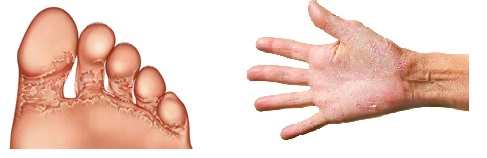 What's New Philippines? : Events-People-Travel-Technology-WildLife