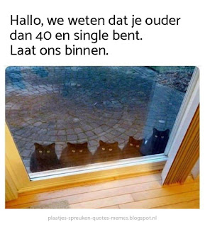 Plaatjes met grappige quotes en afbeeldingen met mooie spreuken om te ...