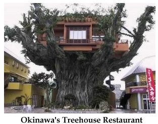 Art Shok: Case strane nel mondo Vol. 2