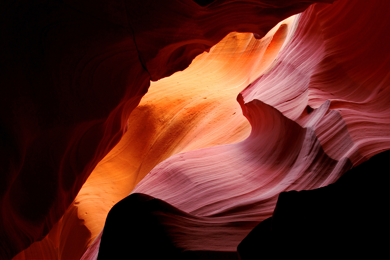 Ryan Gallagher Photography