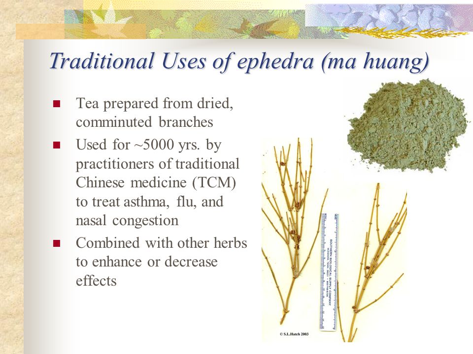 EXAMS AND ME : Ma Huang To Ephedrine