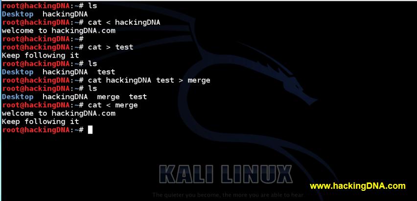 HackingDNA: Shell Scripting On Kali Linux