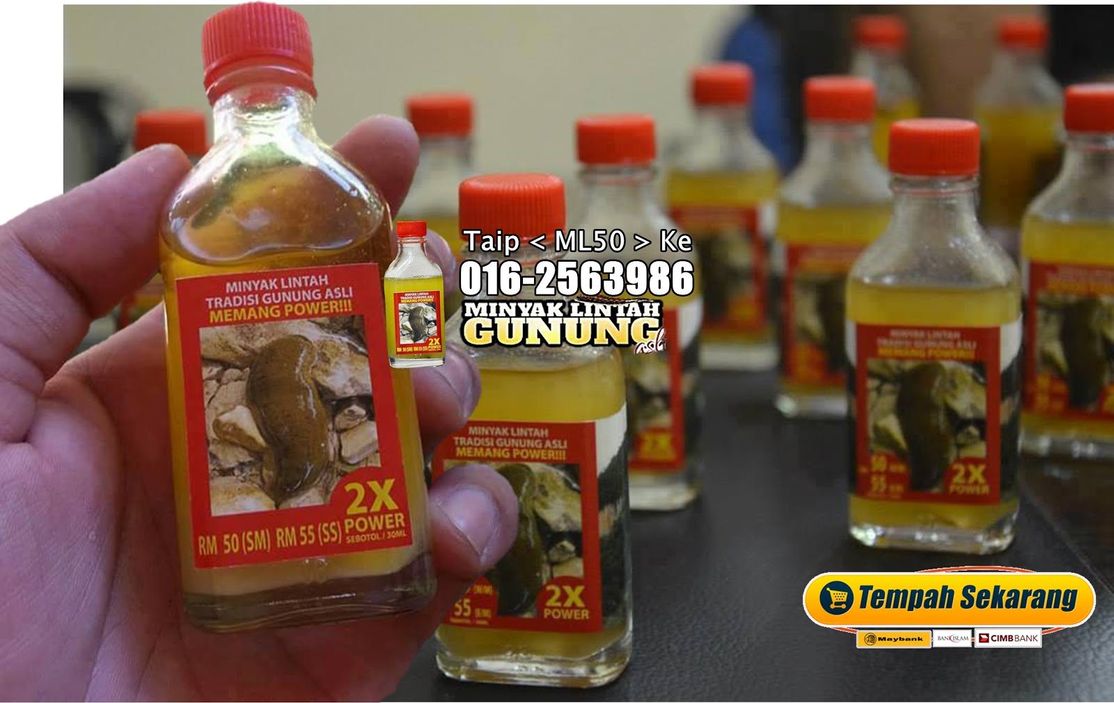 Pembekal Utama Pati Minyak Lintah Gunung Asli MLTGA Oil Plus Original ...