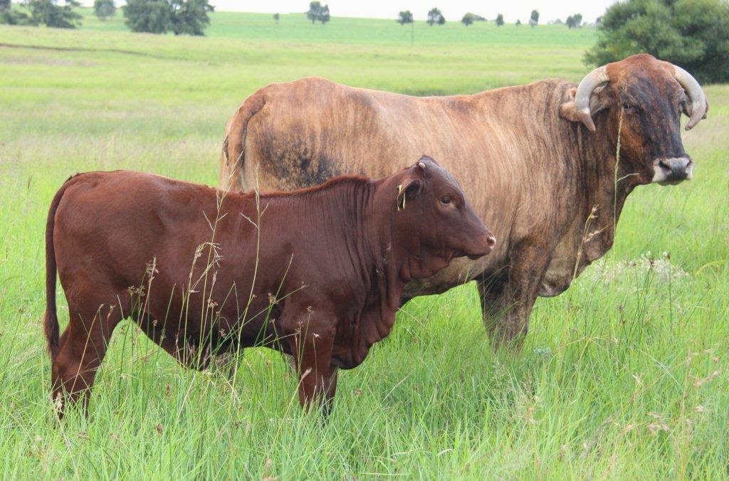 Farmer's Creek: August 2014