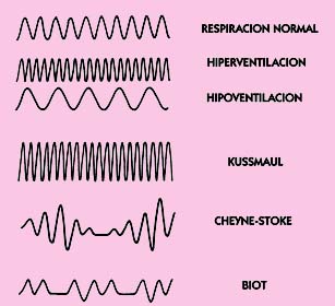 Enfermeria básica: Valoración de las funciones respiratorias