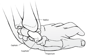 Tom's Physiotherapy Blog: Wrist Injuries Part 2