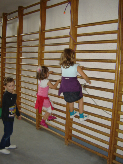 kleutergym: Groep 5 : bewegingsomloop