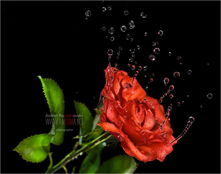 Andrey Razumovsky | Fashion photographer | Tutt'Art@ | Pittura ...