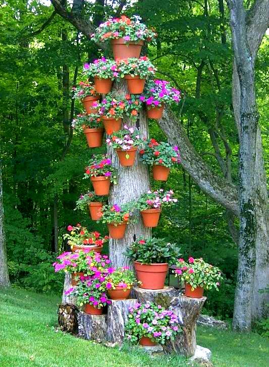 Pasu Dan Bunga Bagaikan Irama Dan Lagu... - Relaks Minda