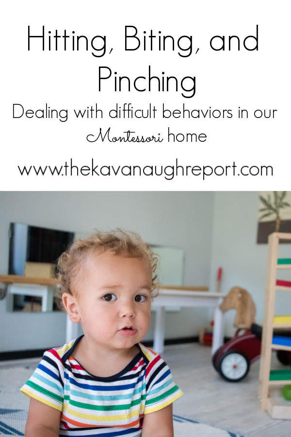 Hitting, Biting, Pinching -- Montessori Young Toddler Weeks 31 to 33