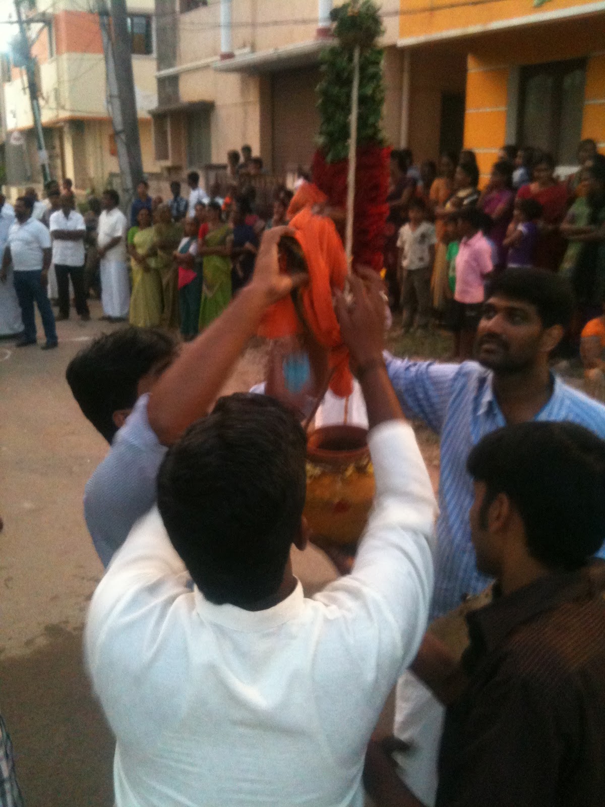 RN Viluthugal: Project no 2