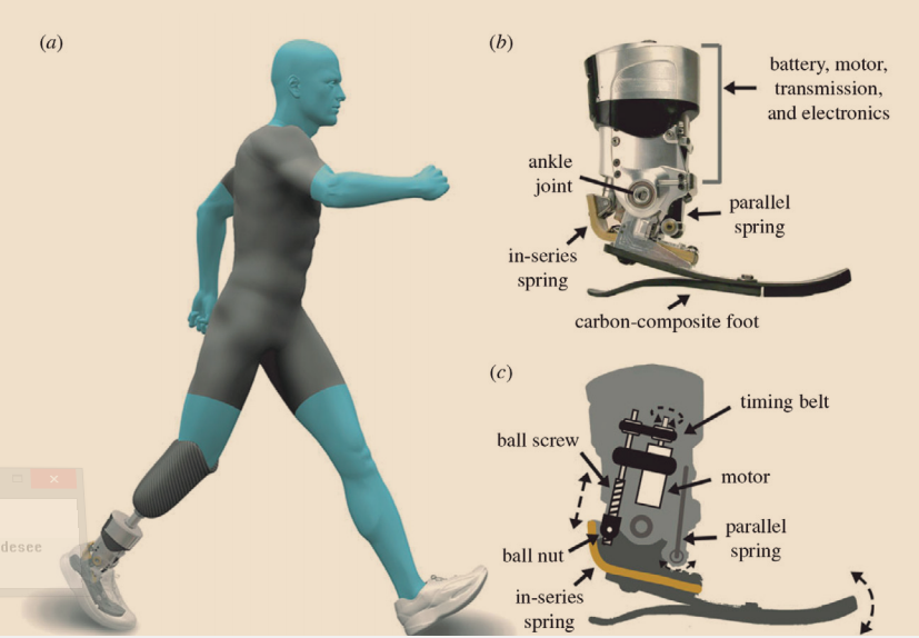 Prótesis Biónica de Tobillo - Pie