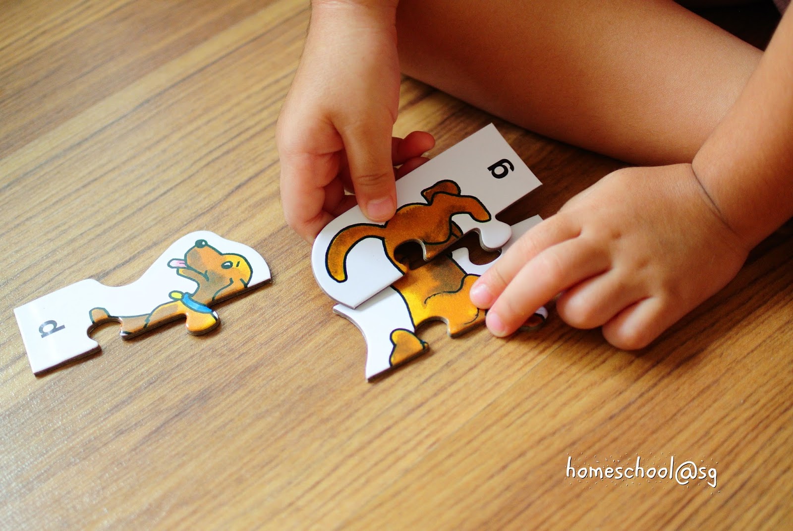 homeschool-sg-word-recognition-activities