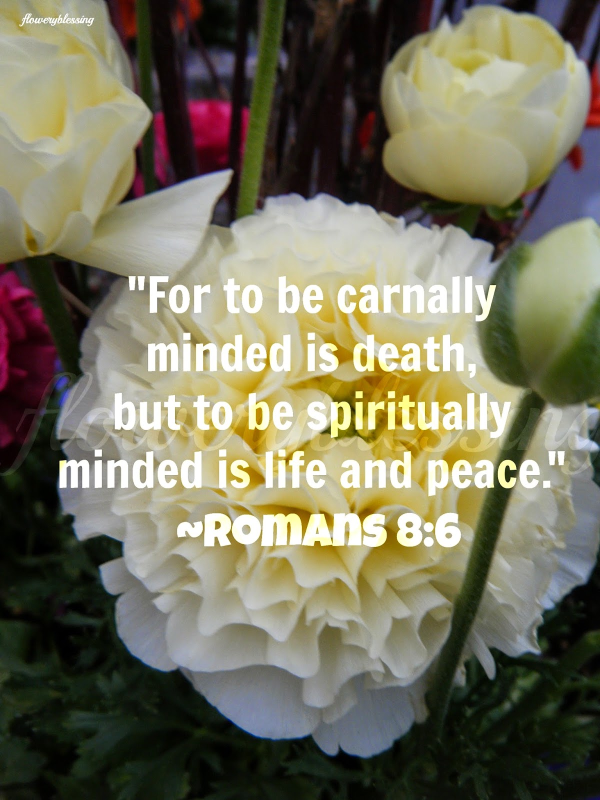 Flowery Blessing: "For to be carnally minded is death, but to be ...