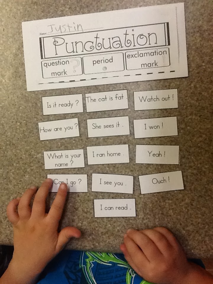 Christina's Kinder Blossoms: Punctuation Sort (free) K.L.2b