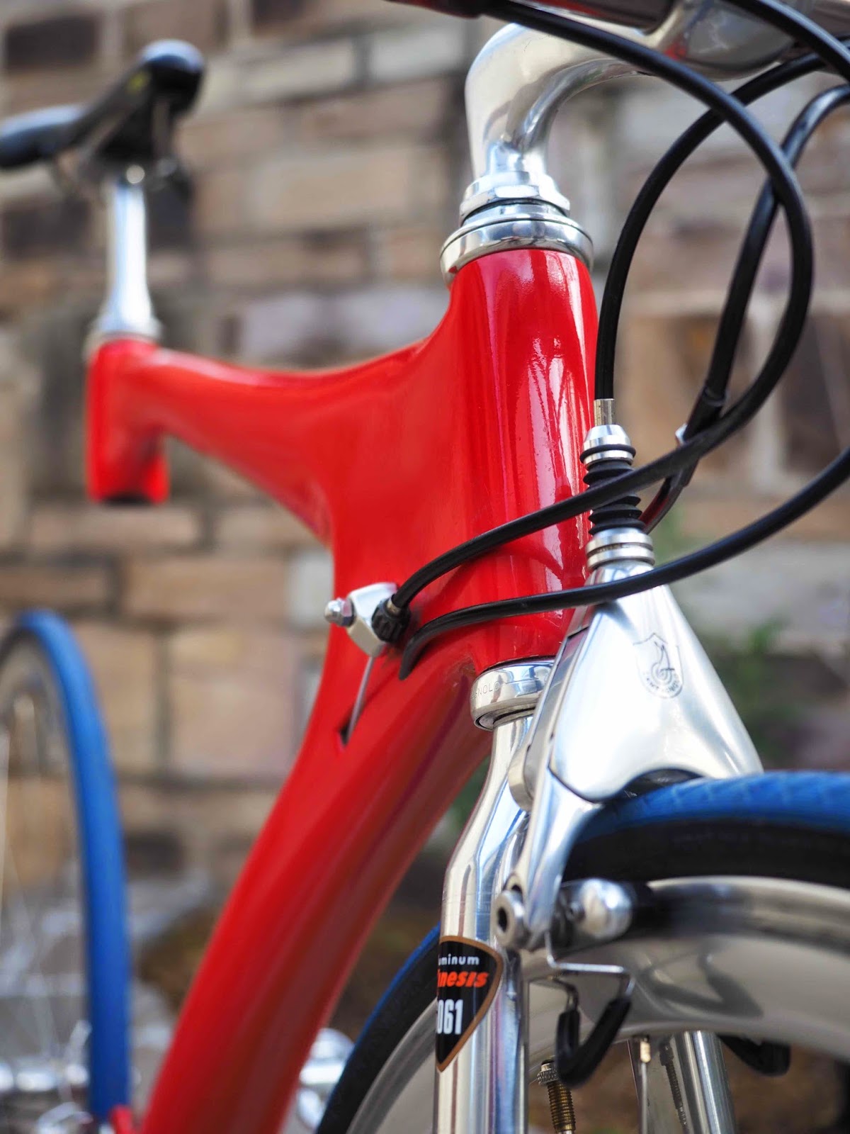 campagnolo delta brakes: 1996 CarbonSports Total Eclipse with delta brakes