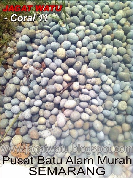 BATU ALAM SEMARANG: BATU CORAL