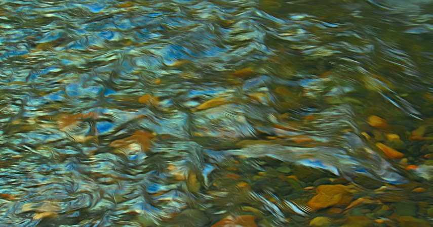 Pretty Pix: Rolling Down the River