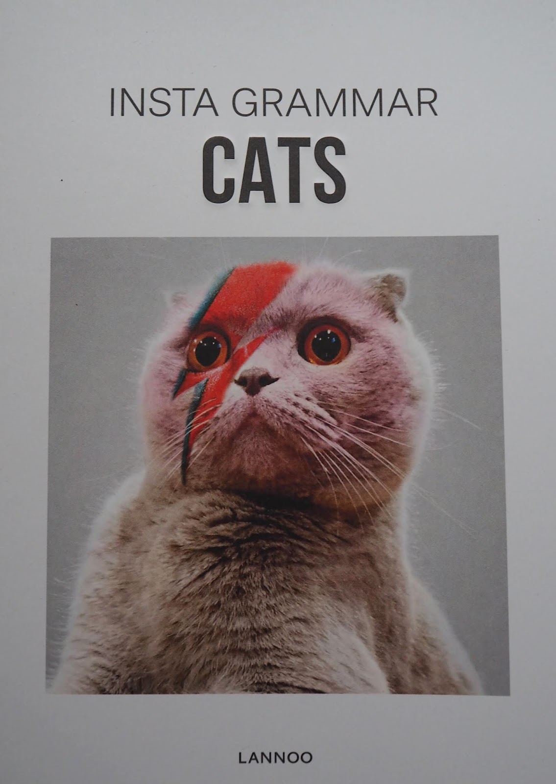 Lingonberry House: Insta cats