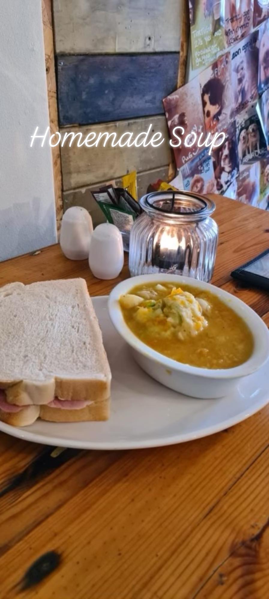 30+ places to take your dog (tried & tested by readers)